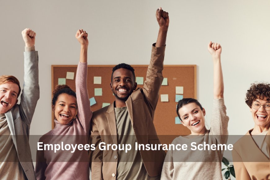 Employees Group Insurance Scheme: A Valuable Benefit for Workforce ...